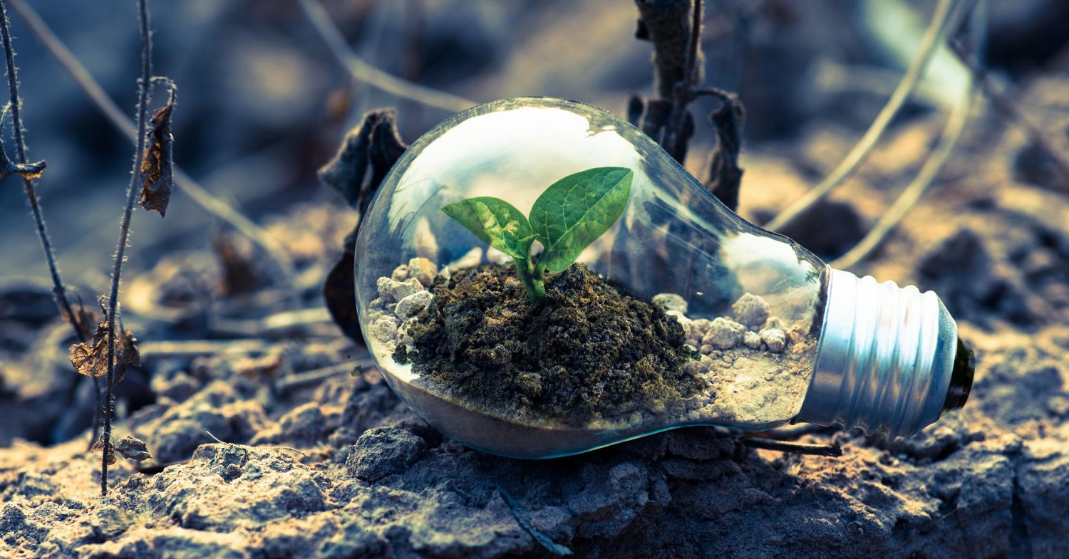 Digitalisierung und Umweltschutz? So sorgen technologische Innovationen ...